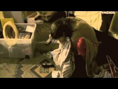 Carla Morrison-No quise mirar - YouTube