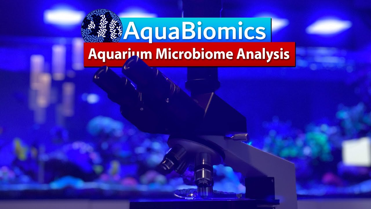 AquaBiomics - Aquarium Microbiome Analysis - What's in your Reef tank ...