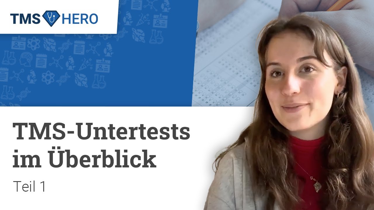 TMS-Untertests erklärt / Muster zuordnen / Figuren & Fakten lernen ...