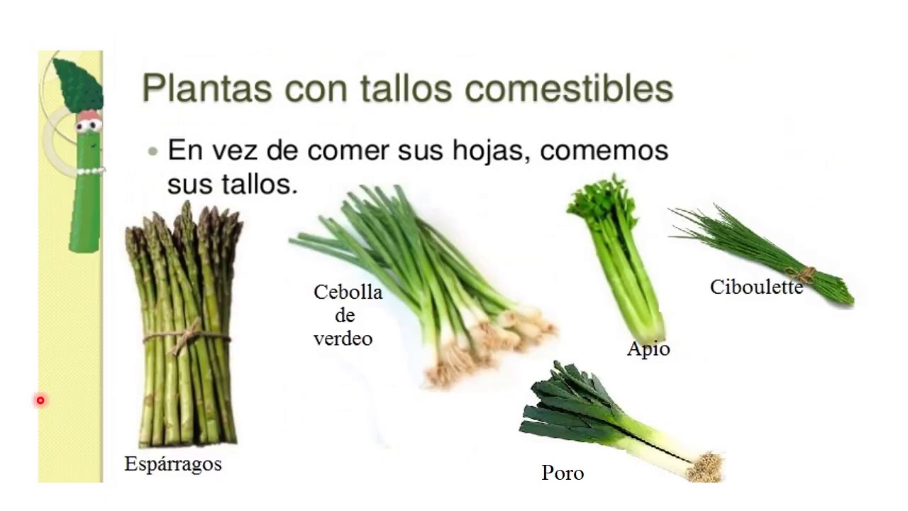 Primaria 2do Semana 18– Ciencia y Ambiente – Las plantas comestibles ...