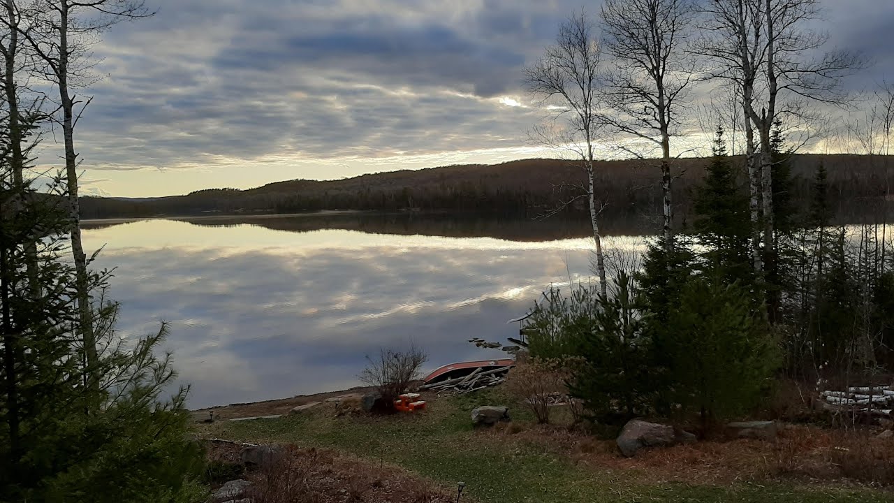 Summer Fun at Bark Lake 2020 - YouTube