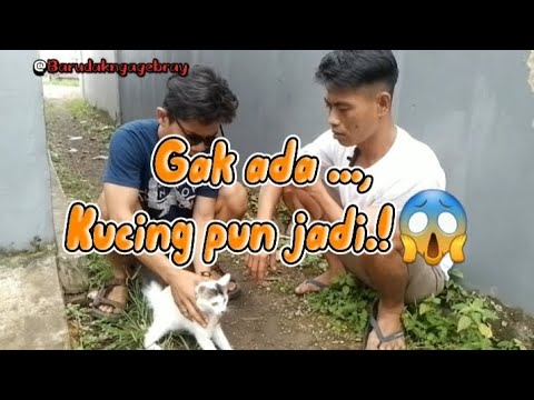 Gak ada ..., Kucing pun Jadi.⁉️😱 | komedi sunda - YouTube