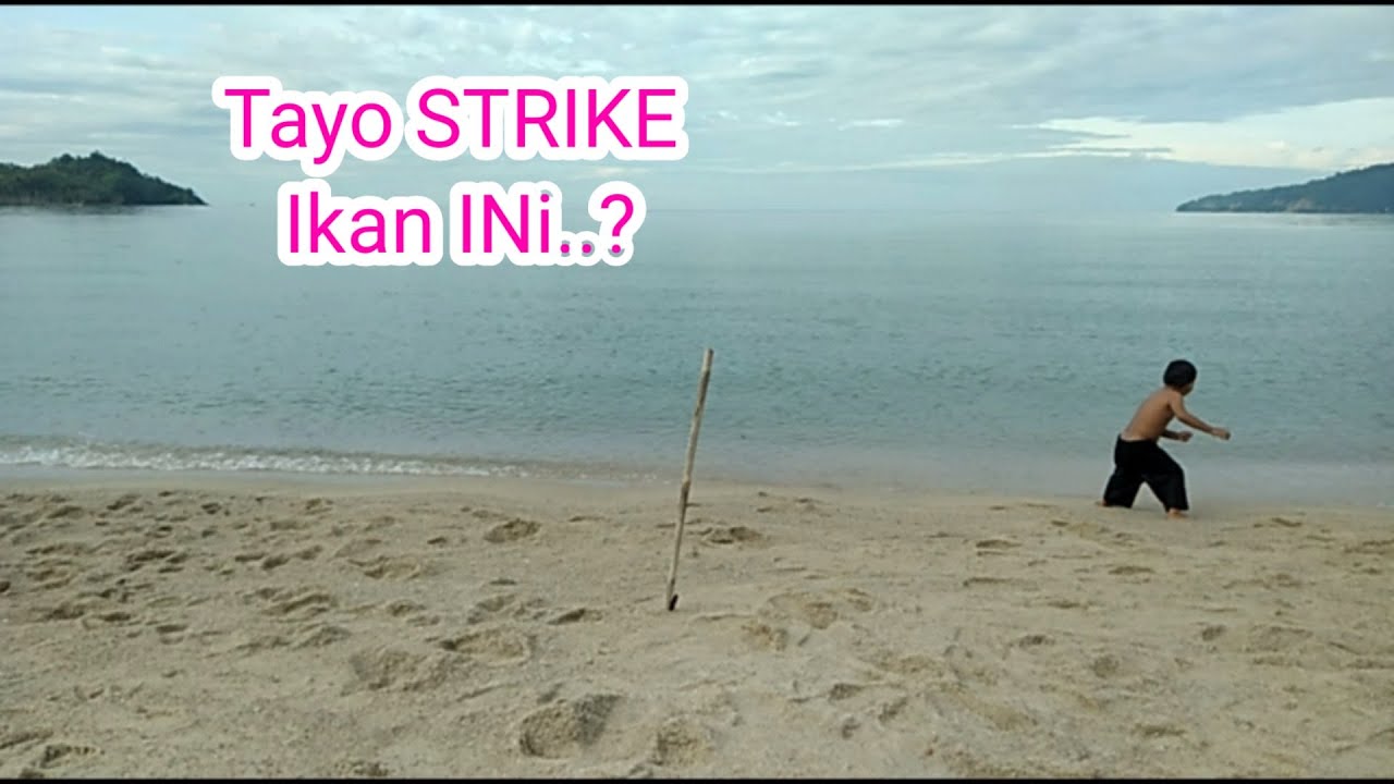 Master Cilik Tayo, MANCING PENUH SKILL TARIKANNYA BIKIN PENASARAN. - YouTube