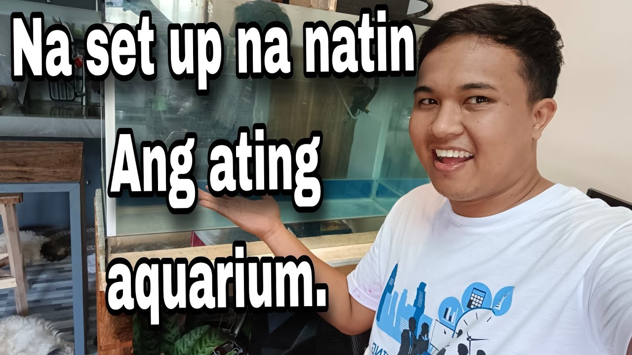 Na set-up na natin Ang ating aquarium. - YouTube