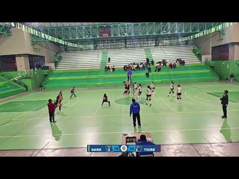 TIGRESAS VS DARK FENIX AKIRA KATO SERIE B