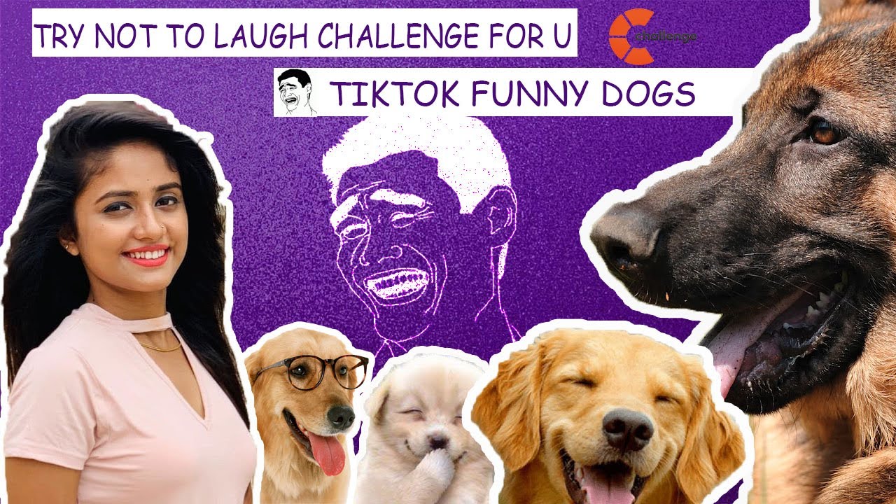 TiktOk Star🌟 A DOG Better Then NISHA GURAGAIN Viral Video ROAST | Funny ...