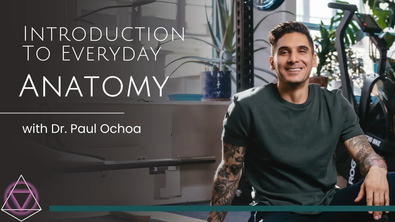 Introduction to Everyday Anatomy with Dr. Paul Ochoa - YouTube