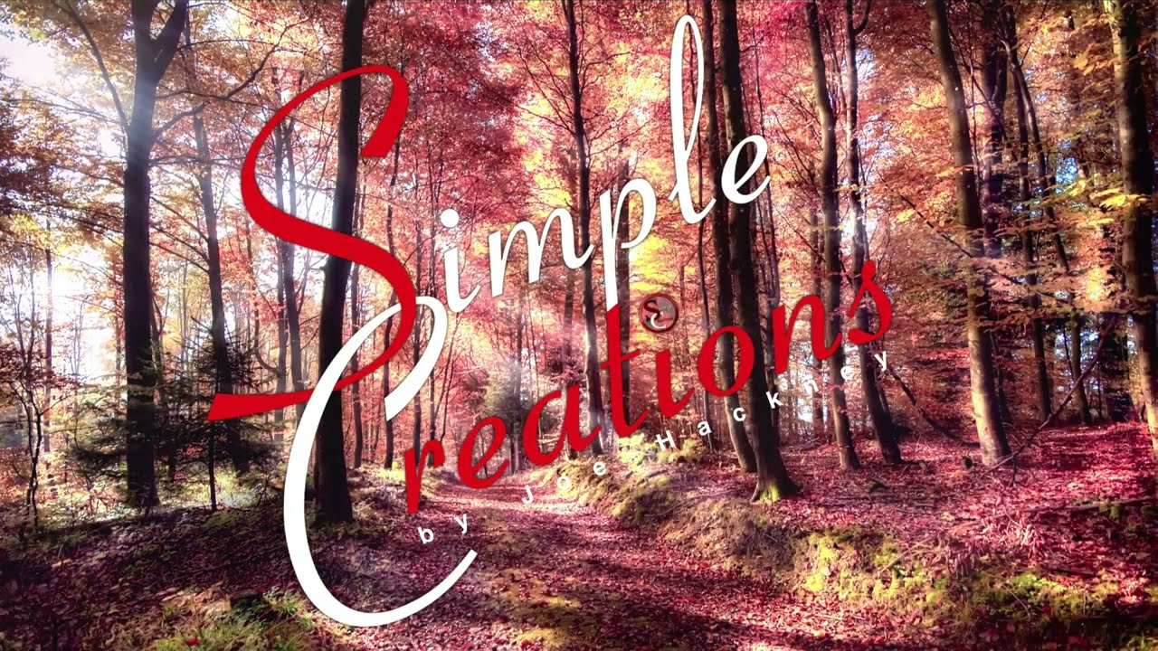 60 min Beautiful ASMR Nature Video. Autumn Forest for Peaceful ...