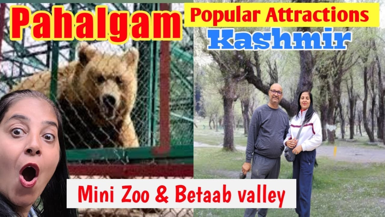 Never Miss the Beauty of Betaab Valley, Pahalgam / Camera Friendly Snow ...