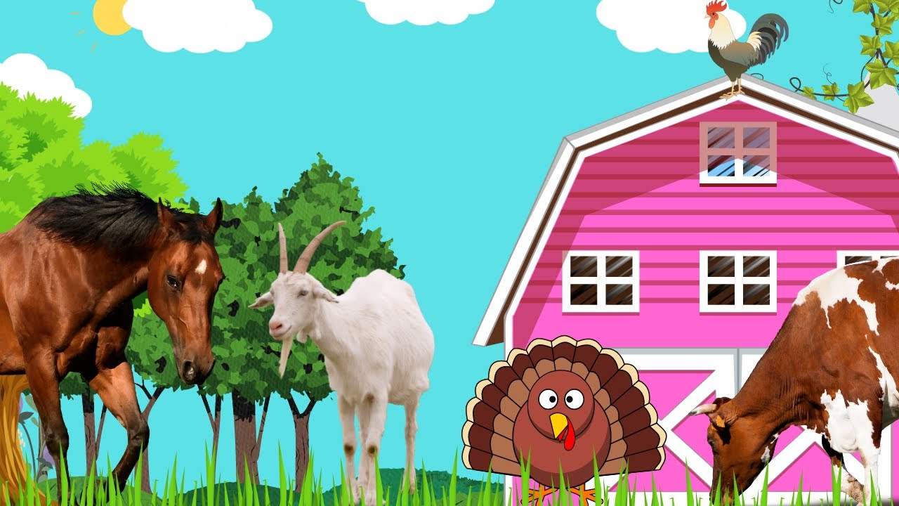Discovering the Harmonious World of Farm Animal Sounds: dogs, cows ...
