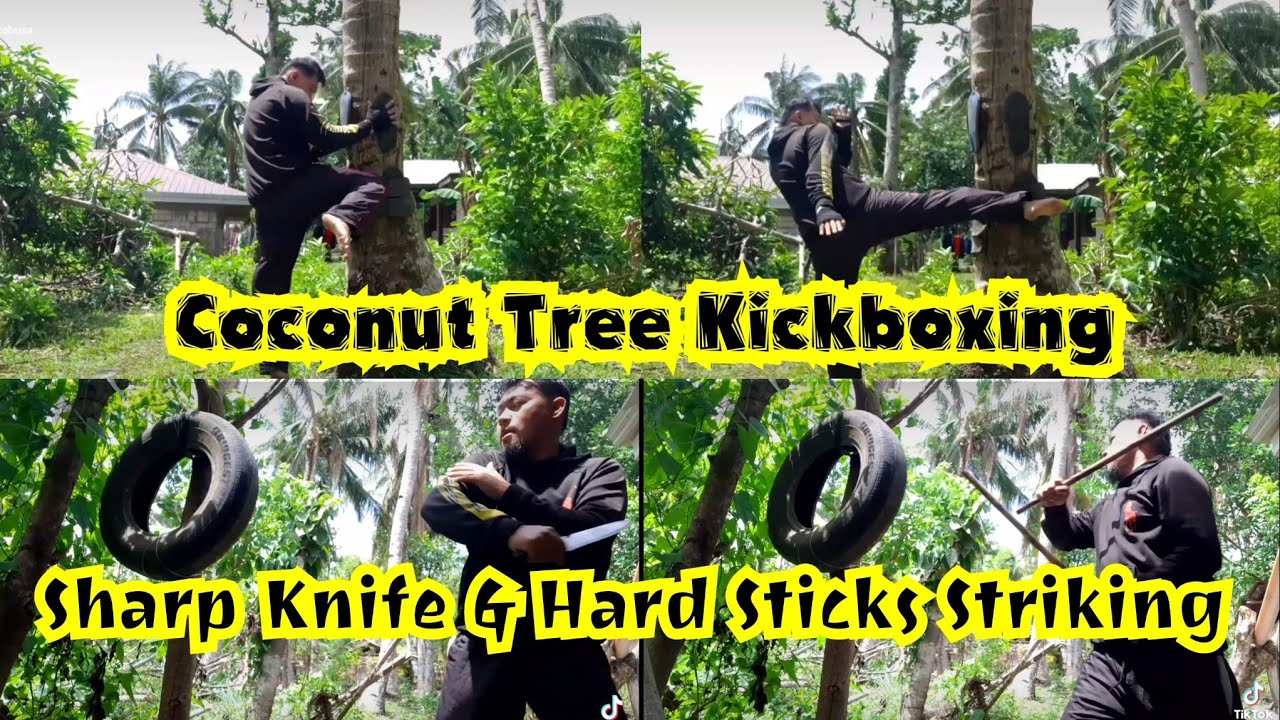 Punching & Kicking the Coconut Tree | Striking Hard Sticks & Sharp ...