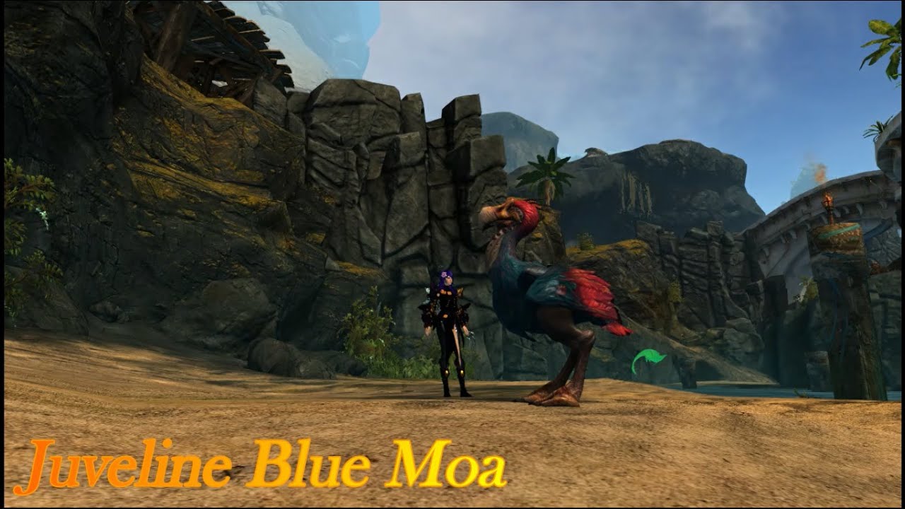 Gw2 2020 Juveline Blue Moa - YouTube