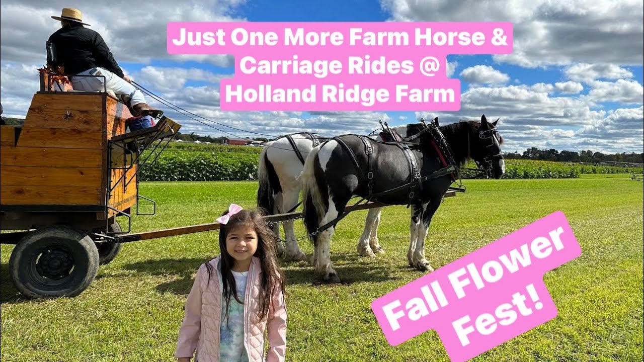 Holland Ridge Farms Fall Flower Fest Horse Carriage Ride at NJ 2022 ...