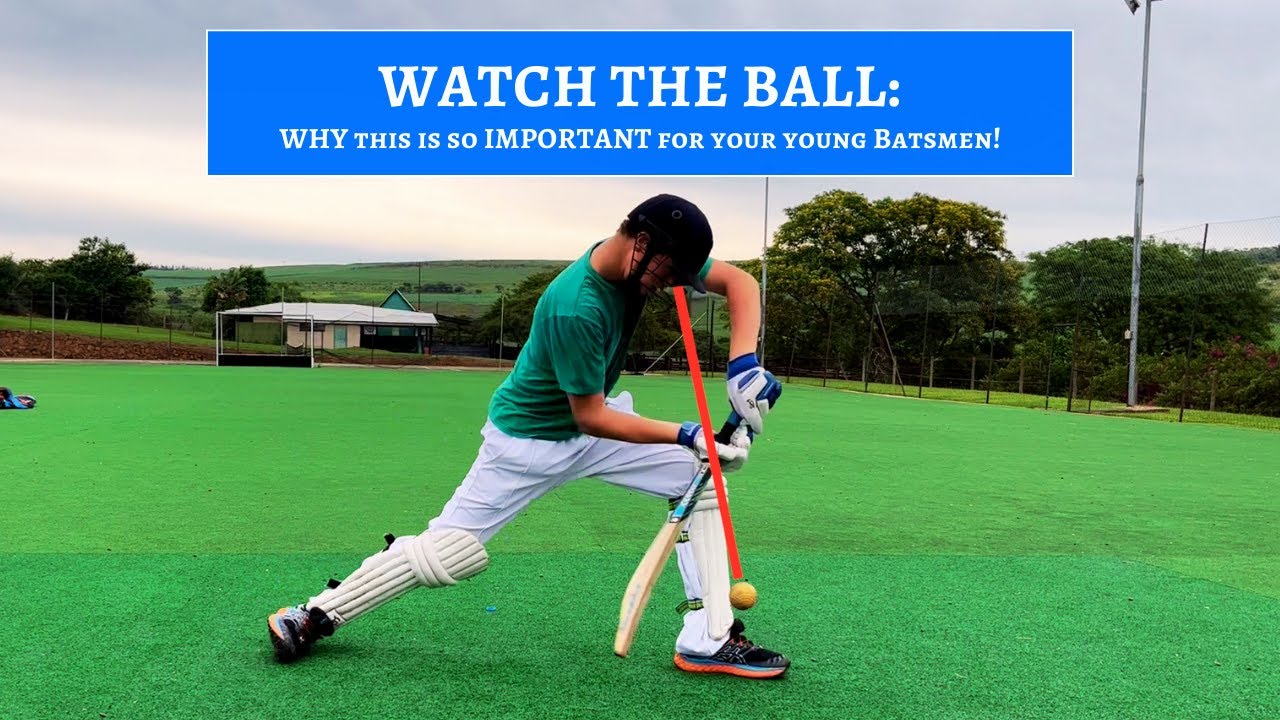 Watching the Ball (Batting): WHY this is so IMPORTANT for your young ...