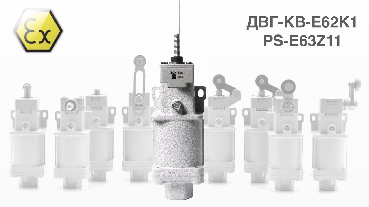Плунжер ZCK-E06 / ZCKE06 в составе взрывозащищенного концевого ...