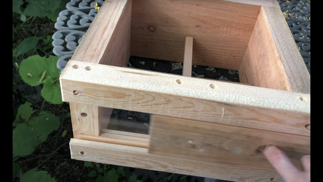 Installation of beehive box with transparent window - YouTube