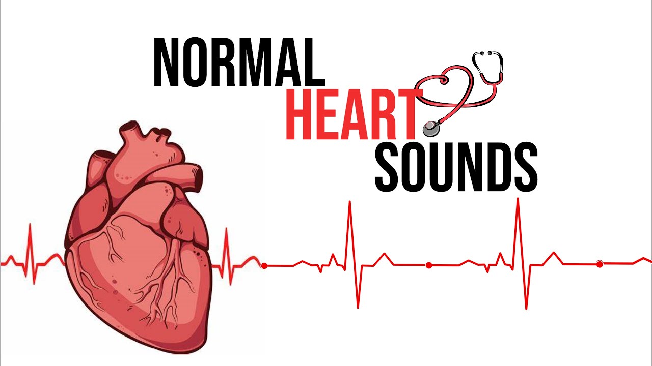 NORMAL HEART SOUNDS | HEADPHONES RECOMMENDED | LEARN TO DIFFERNTIATE ...