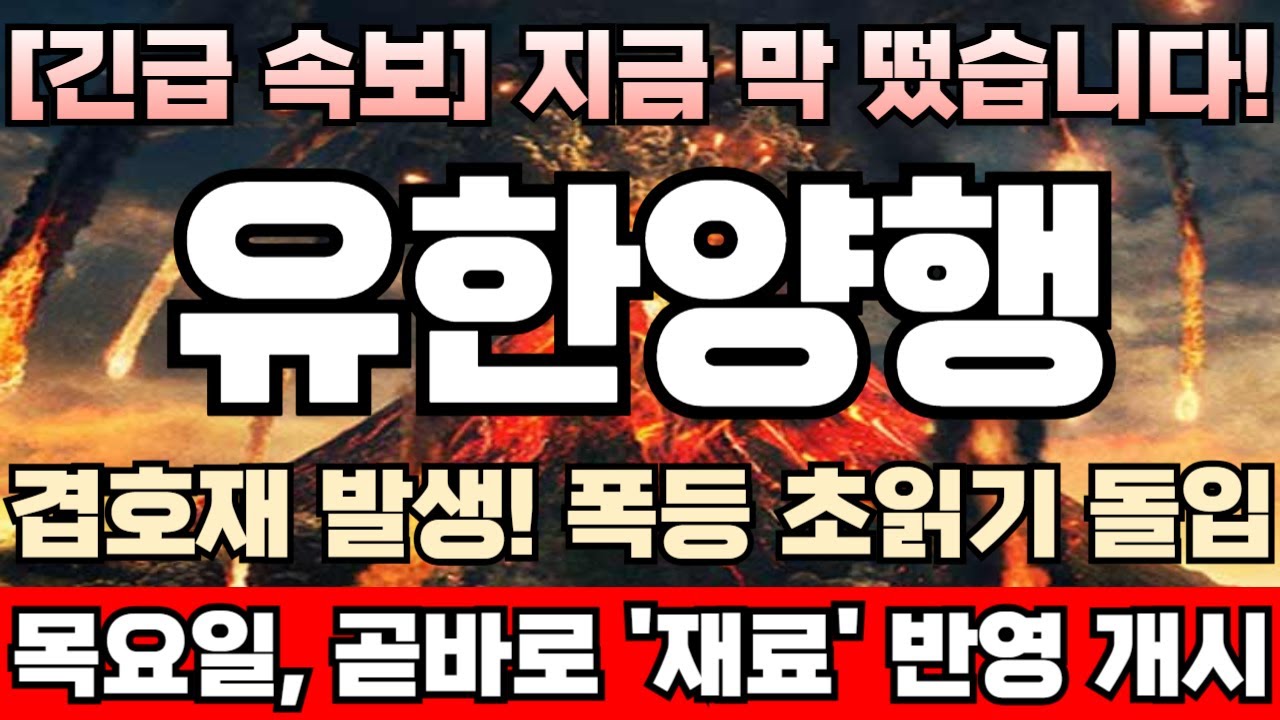 유한양행 주가전망 긴급 폐암치료제 렉라자 미국 이어 유럽 허가 눈앞 올해 매출 2조 달성 유력 자회사 이뮨온시아 연내 코스닥 기술특례상장 추진 유한양행완벽