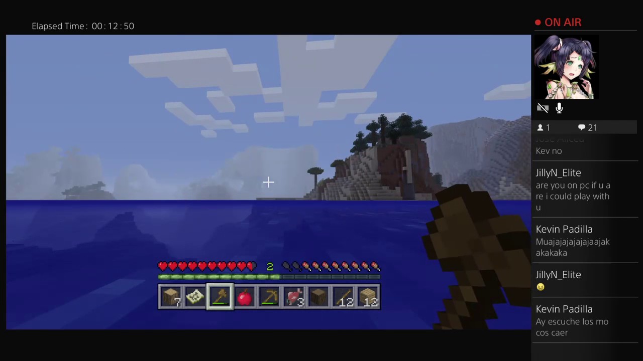 Pro minecraft gamer - YouTube