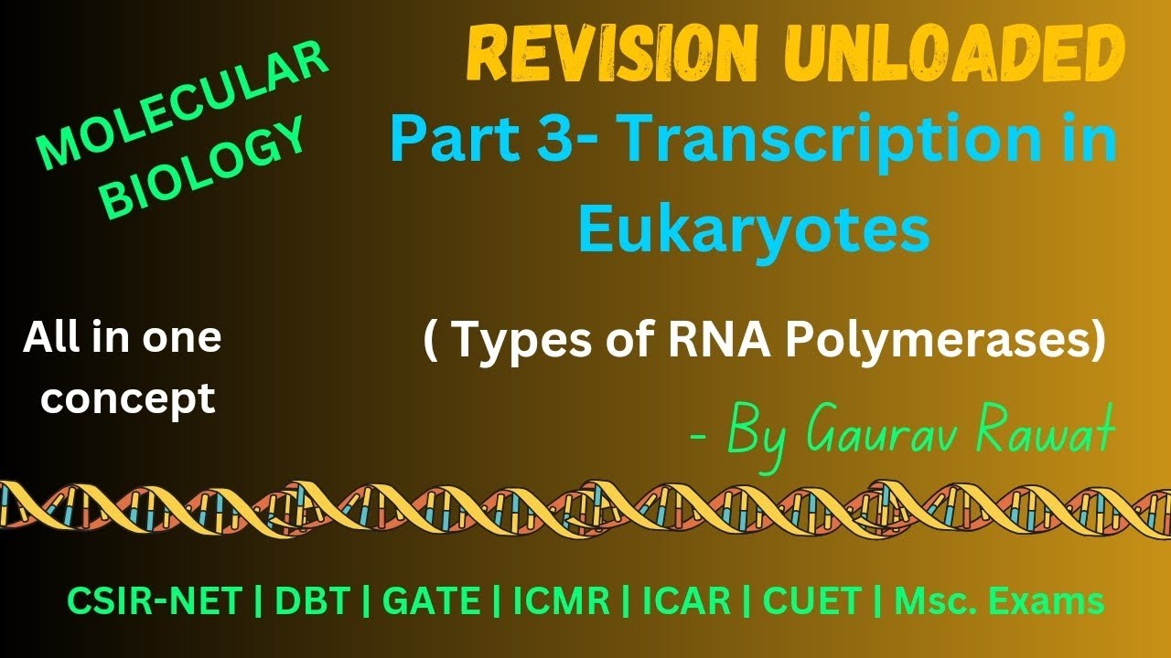 Molecular Biology | Transcription in Eukaryotes | Part-3 | Types of RNA ...