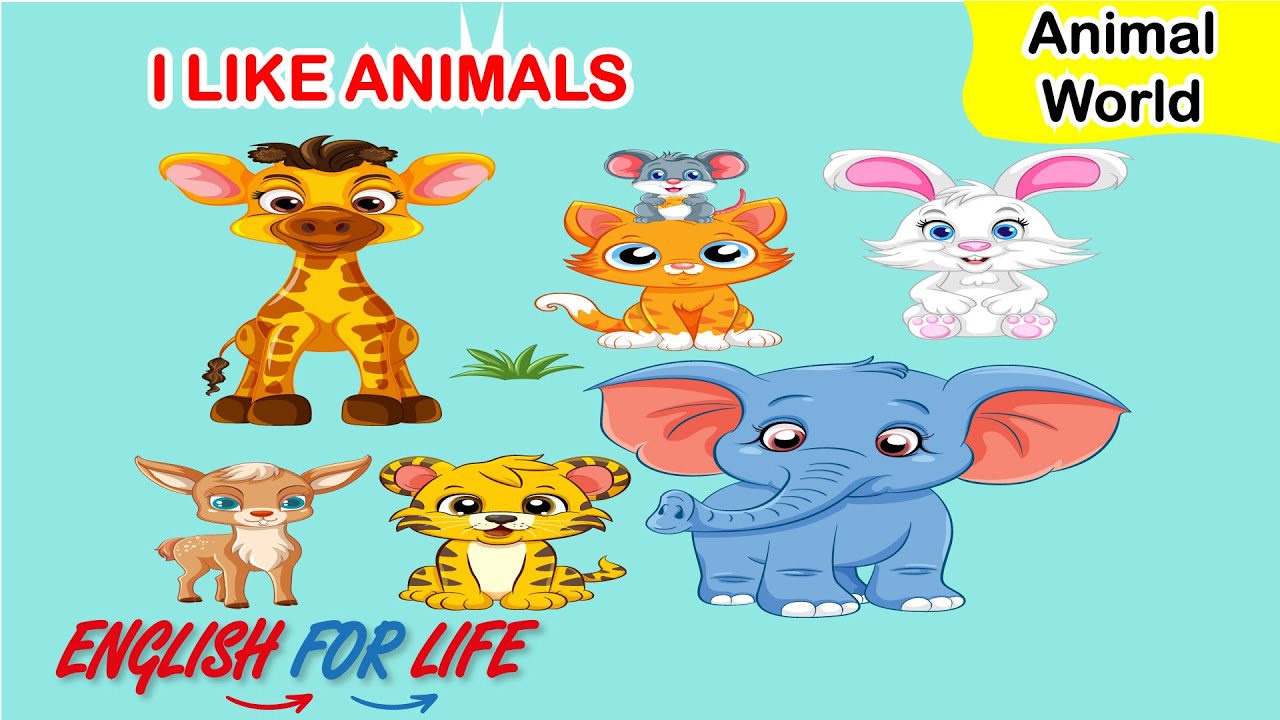 Apprenez les Noms des Animaux en Anglais Learn Animal Names in English ...