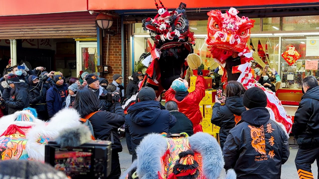 NYC Lunar New Year Lion Dance 2023 múa lân sư tử #liondance # ...