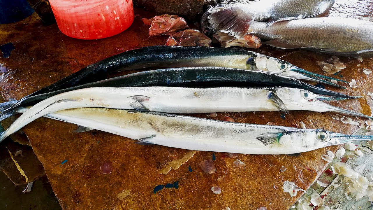 Hound fish Cutting | Fish Cutting Skills - YouTube