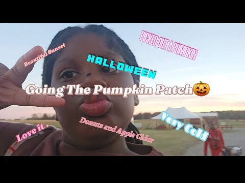 A Day In Gus Brothers Pumpkin Patch 🎃 - YouTube