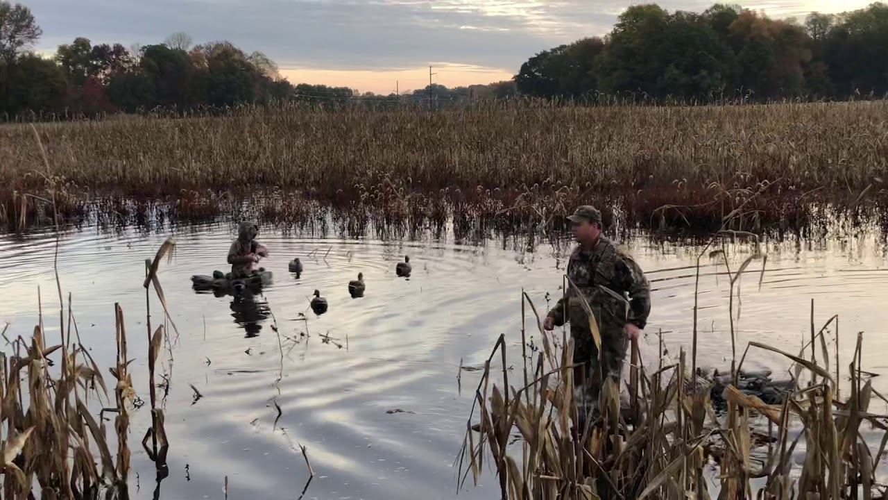 October 26, 2019 - YouTube