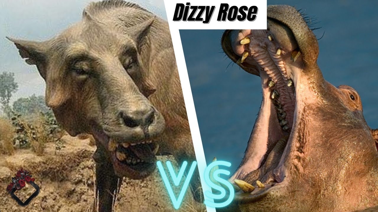 Daeodon vs Hippo 2021 - YouTube