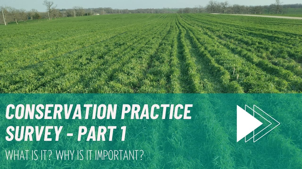 Conservation Practice Survey - Part 1 - YouTube