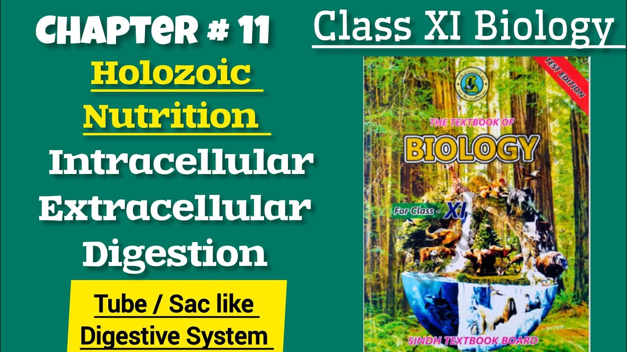 Intracellular and Extracellular Digestion| Tube like and Sac like ...