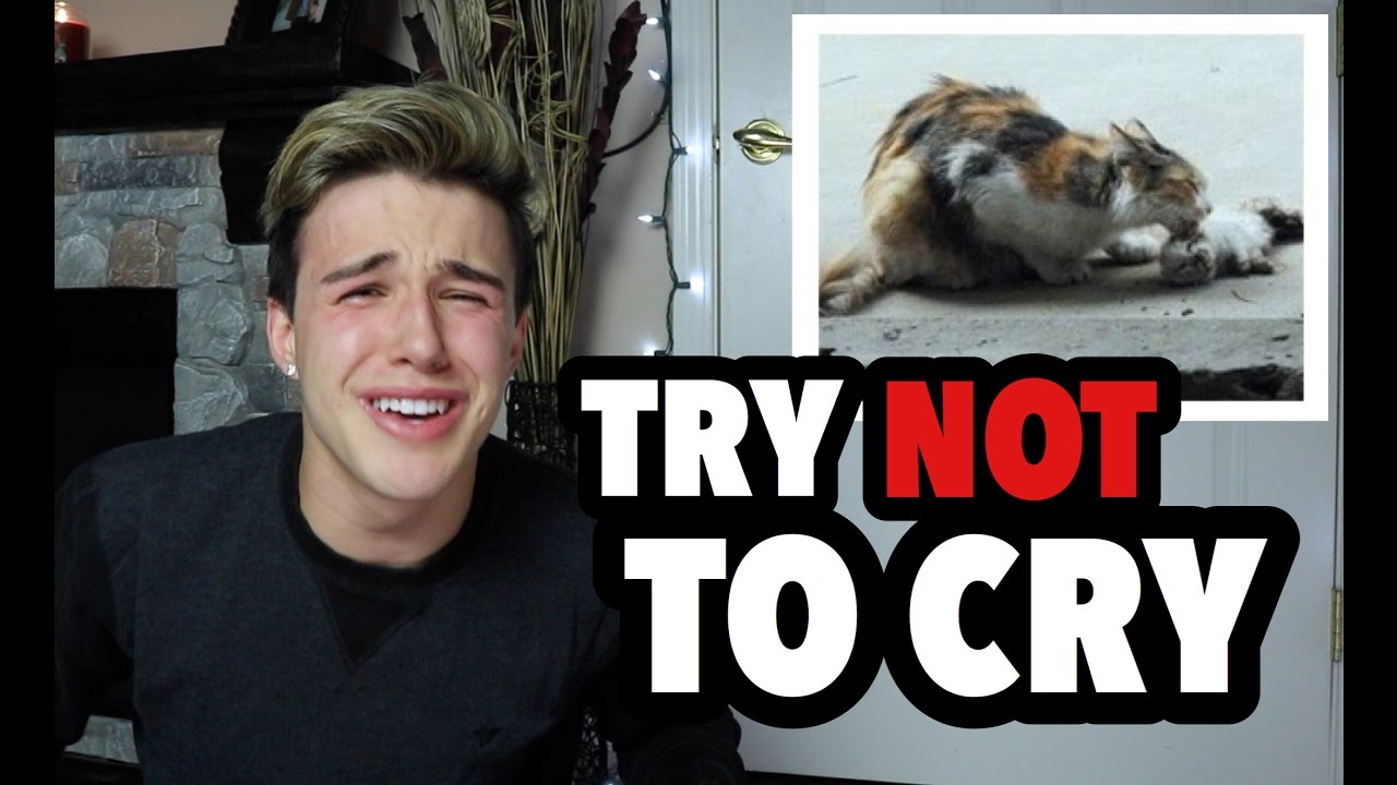 TRY NOT TO CRY CHALLENGE!! (I Cried!!) - YouTube