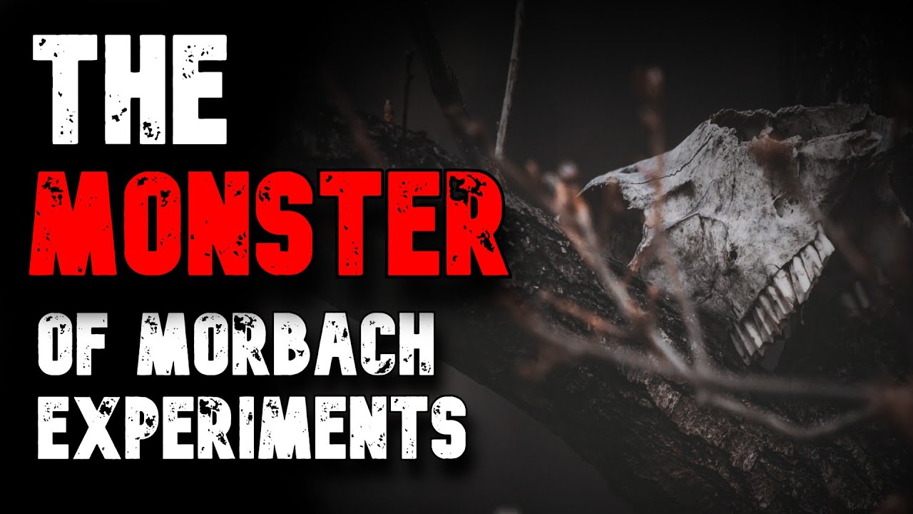 The Monster of Morbach Experiments | WWII HORROR STORY - YouTube