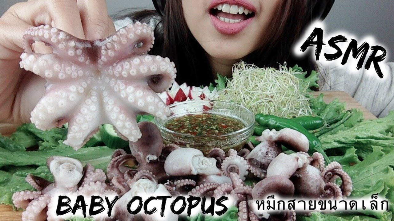 ASMR BABY OCTOPUS| หมึกสายน้อย| EATING SOUND| NO TALKING| AMY-ASMR ...