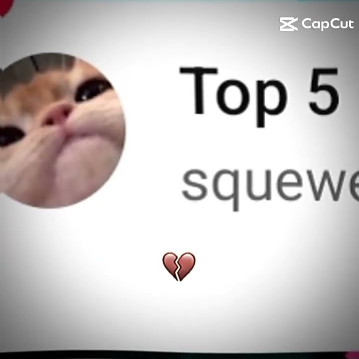 @squewe zazu cat?... #memes #funk #edit #xd #fypシ゚viral - YouTube