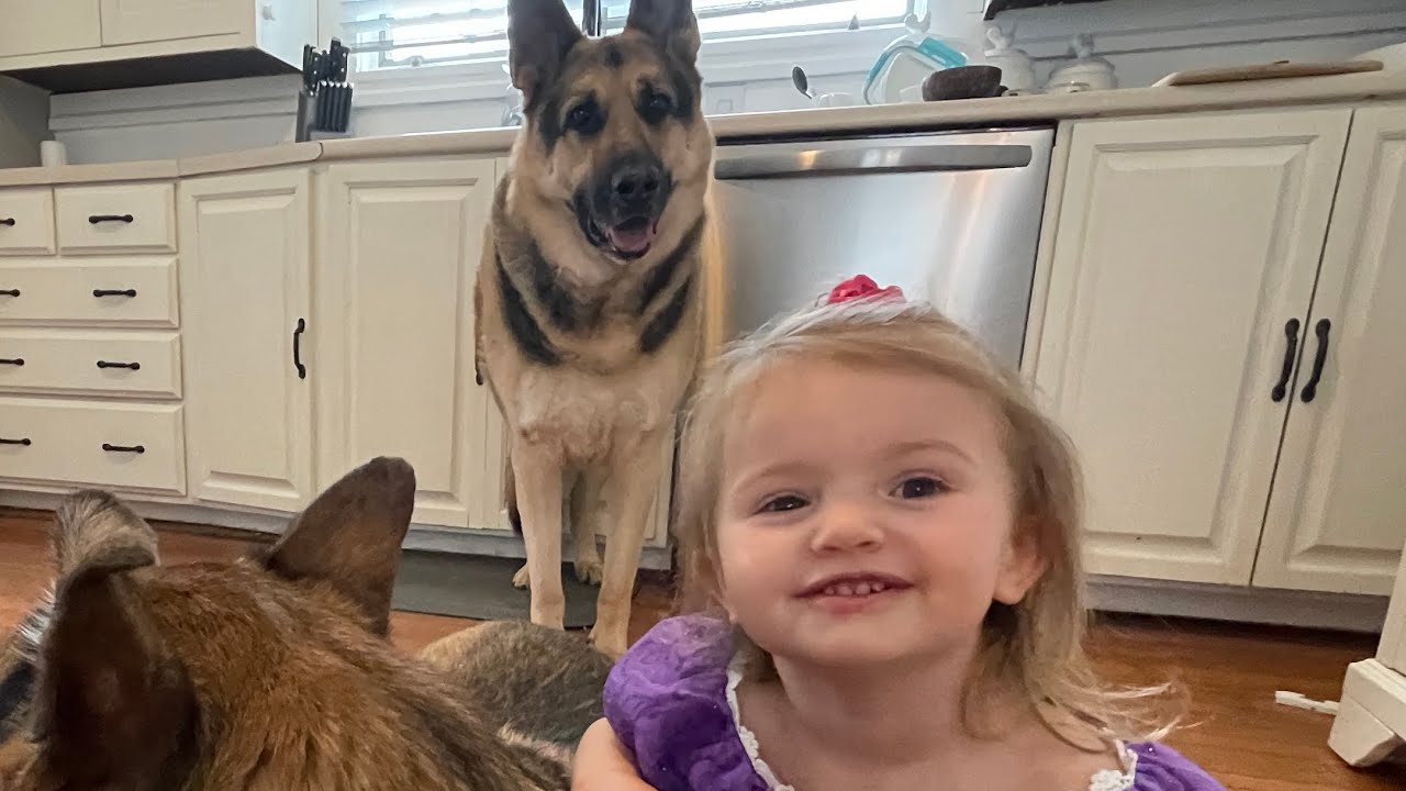 Princesses try and train their best friends 🐶🐶 #princess #dogs # ...