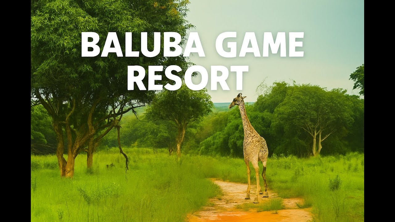 Baluba Resort near Kitwe Ndola Zambia, Jungle Safari, best tourist ...