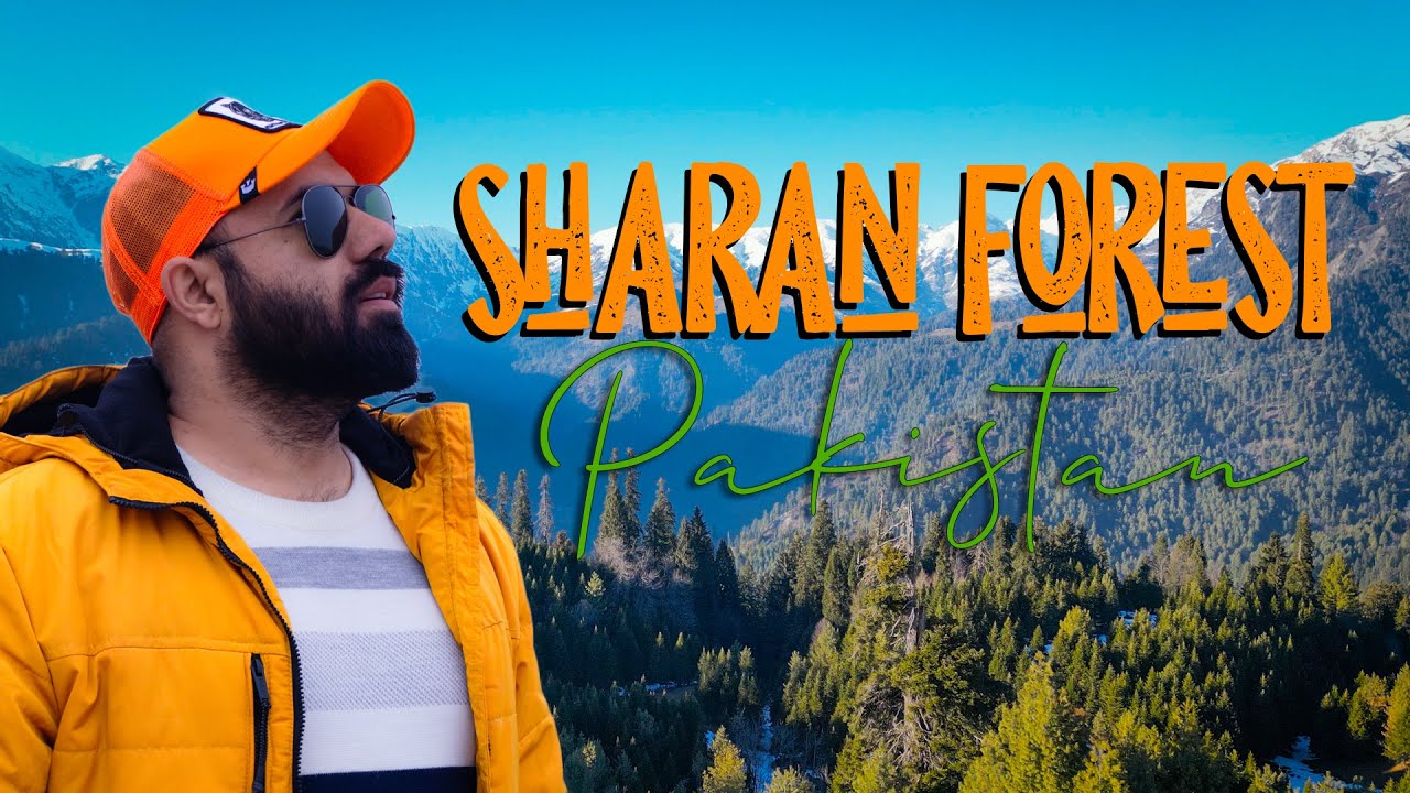Sharan Forest Kaghan Valley: Vlog and Cinematic Exploration - YouTube