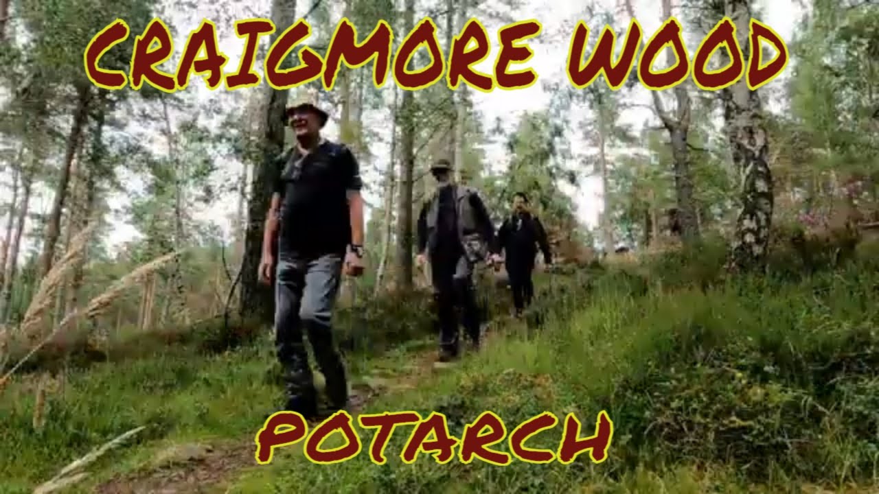 Craigmore Wood, Potarch Aberdeenshire. - YouTube
