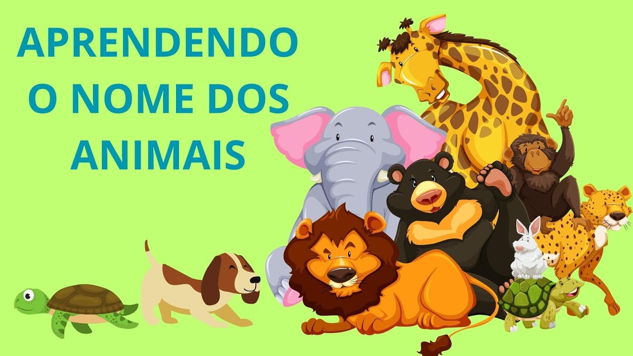 Aprendendo o nome dos Animais - YouTube