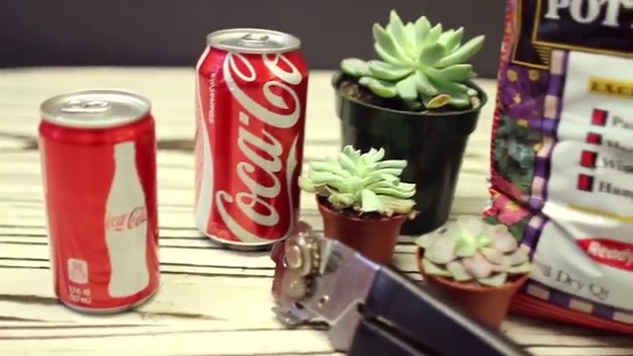 DIY Coke can succulent planter - YouTube
