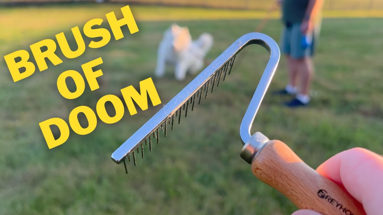 Is This The Brush Of Doom? - YouTube