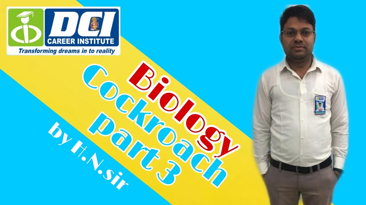 Cockroach appendages#legs #Wings# body wall # NCERT Biology - YouTube