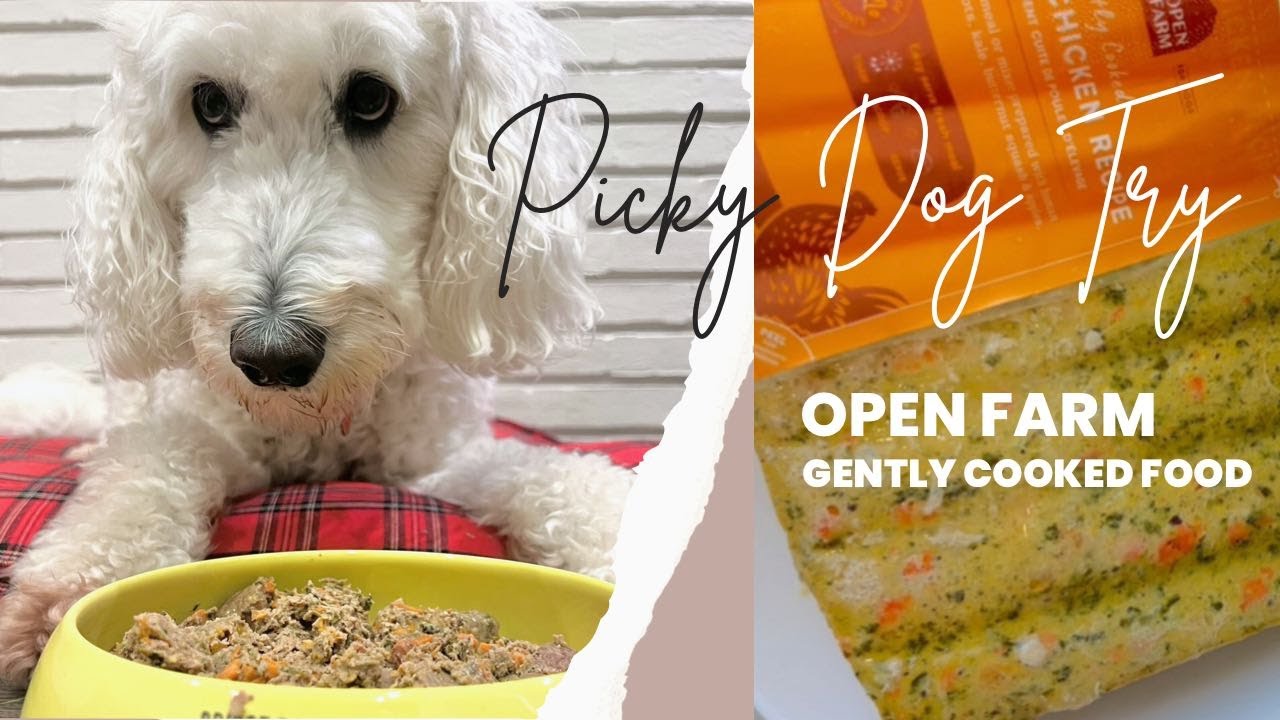 Picky Dog Try Open Farm Gently Cooked Food - YouTube