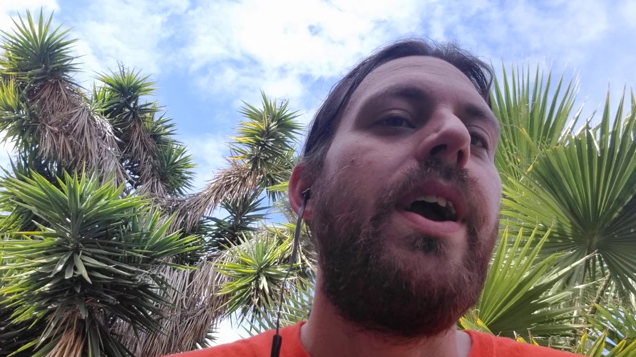 A Mid-Week Message from Alex Bridges - YouTube