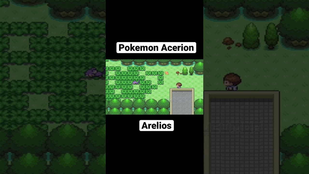 Fan-made Game Pokemon Acerion Gameplay #Shorts | Ducumon - YouTube