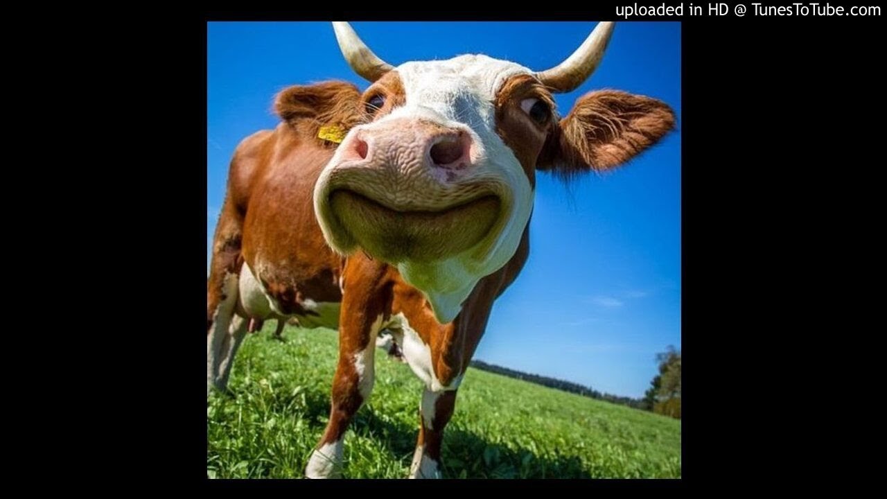 lieu x rab x c4pri x cowwnb type beat (prod. by hunna50k) - YouTube