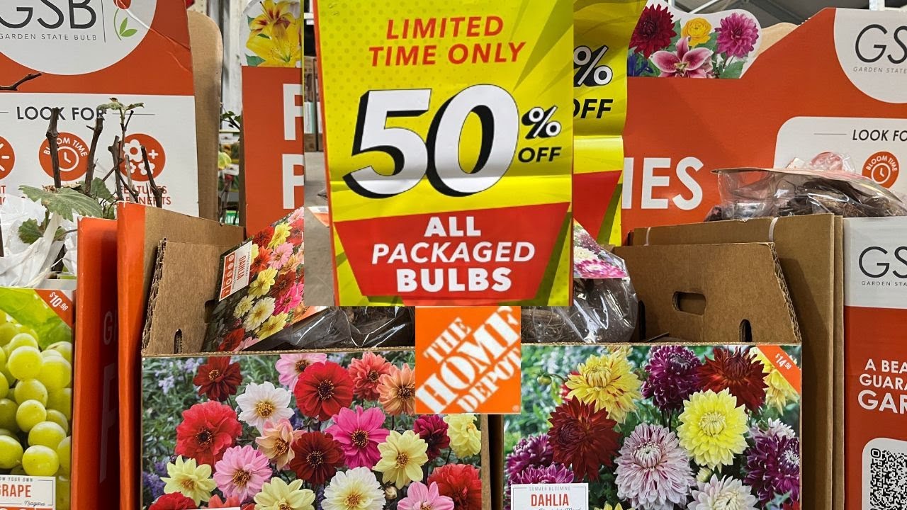 50% OFF Summer Blooming Bulbs at Home Depot| BULB HAUL - YouTube