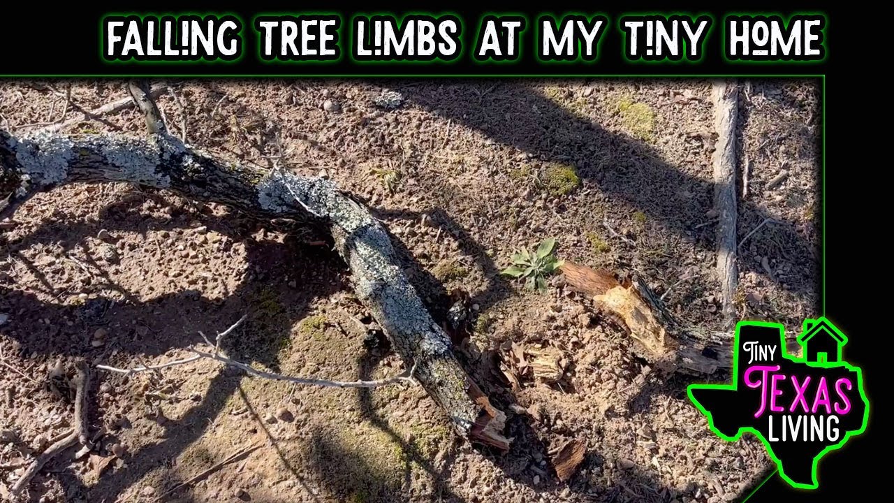 Wind Storms Caused Falling Tree Limbs At My Tiny Home | Winds Up To ...